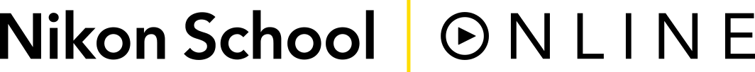 Nikon School Logo