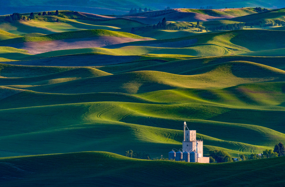 Nikon Ambassador | Deb Sandidge | Nikon