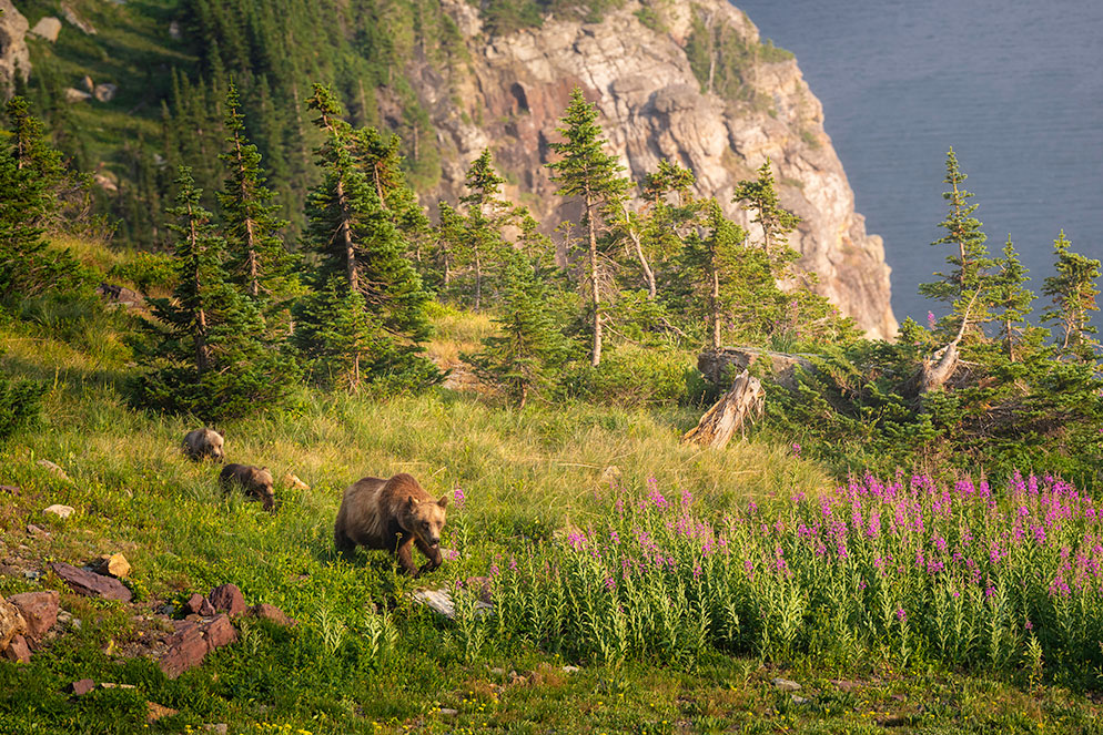 Nikon Ambassador Mike Mezeul II | Nikon