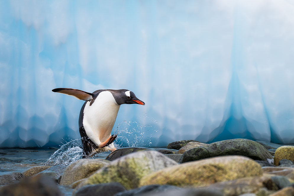 Nikon Ambassador Mike Mezeul II | Nikon