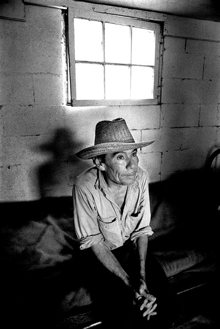 George Tiedemann: Photographing it All | Nikon