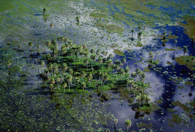 Shooting the Effects of Global Warming | Nikon