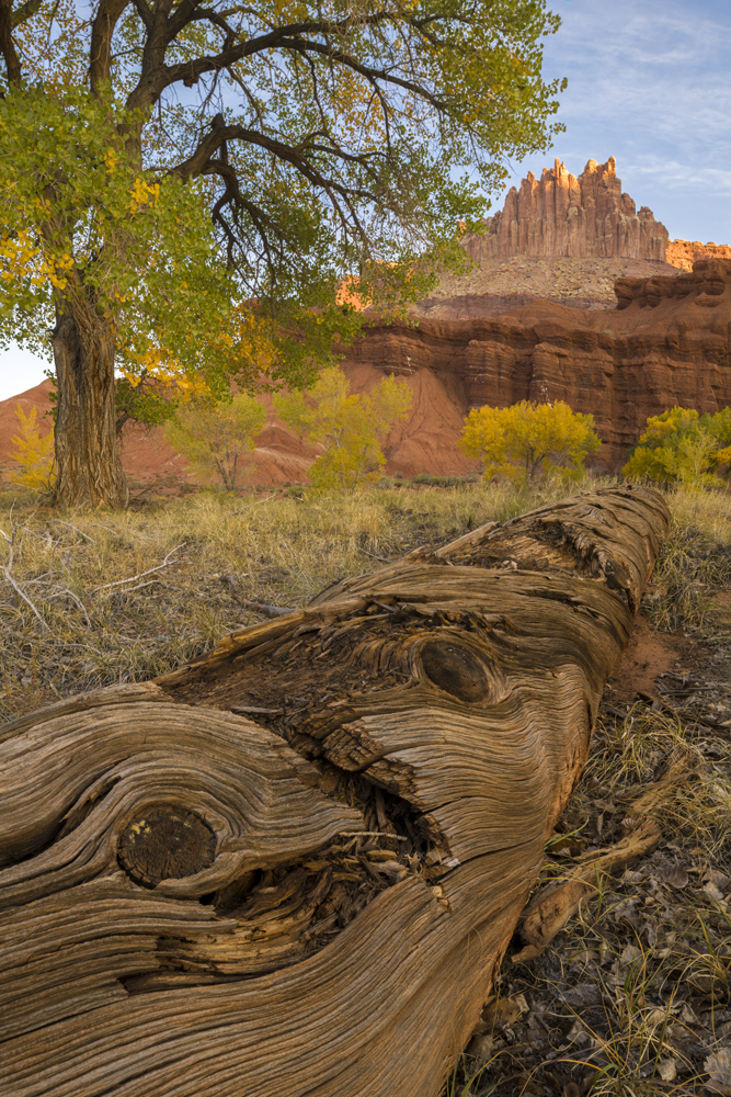Clase de Expertos: Qué Puede Aprender De John Shaw de Nikon