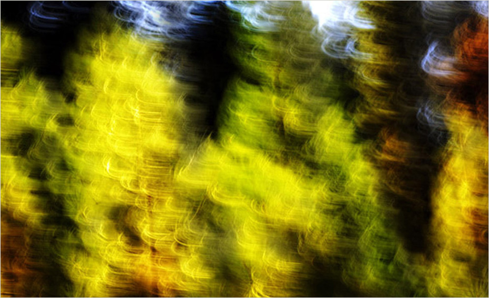 Dès le début : la route de Robin Layton vers la photographie artistique ...