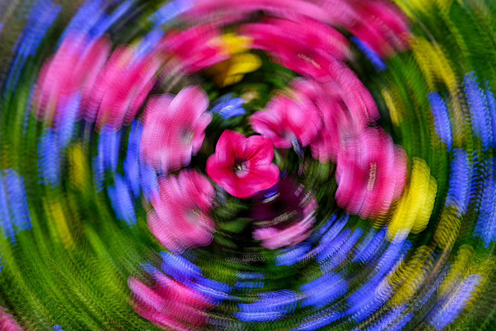 Multiple Exposures: Creative In-Camera Techniques | Nikon