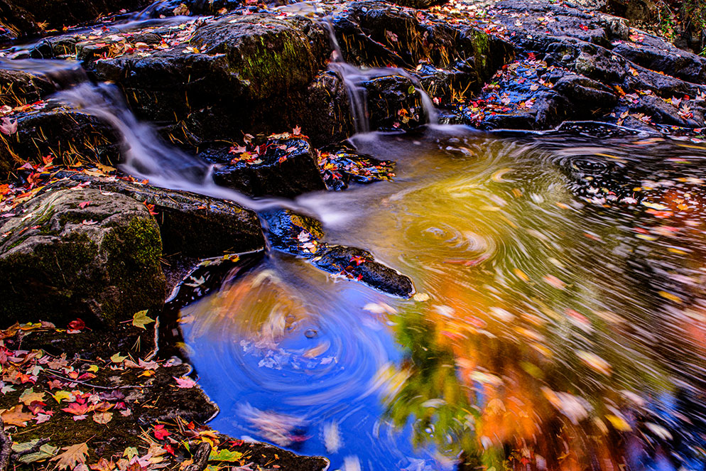 Autumn Impressions: Tips for Photographing Fall Color | Nikon
