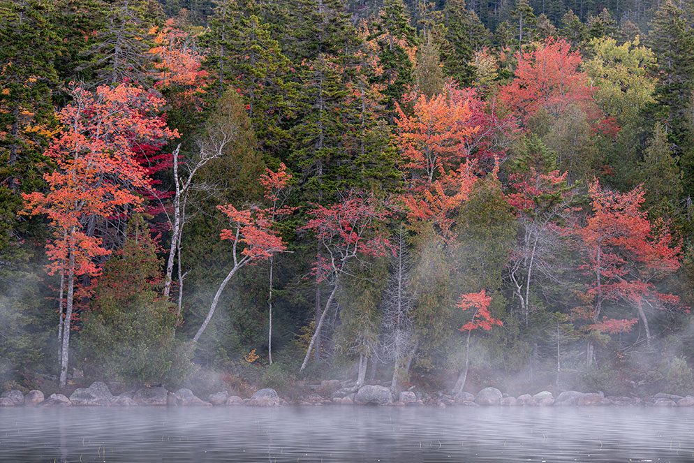Autumn Impressions: Tips for Photographing Fall Color | Nikon