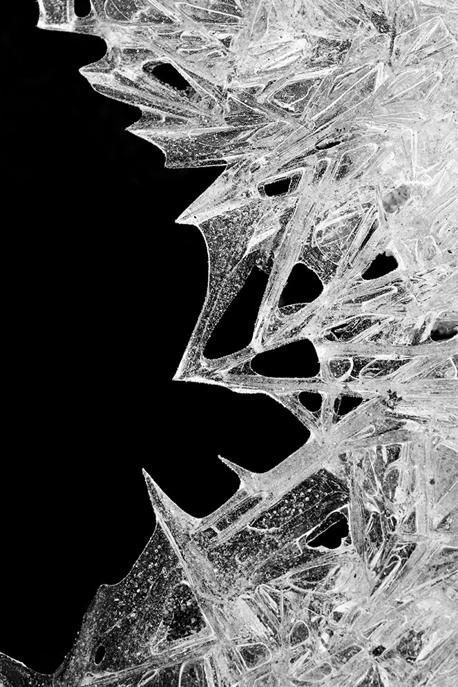 Quick-Change Artist: Video or Stills, the Hybrid Z 8 Delivers Pro ...