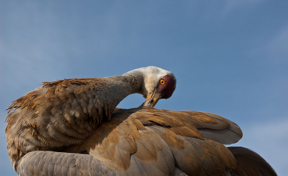 Martin Gregus from Nikon