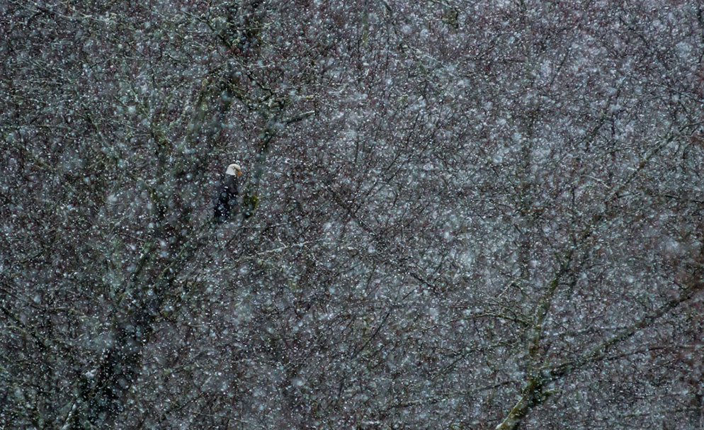 Martin Gregus from Nikon