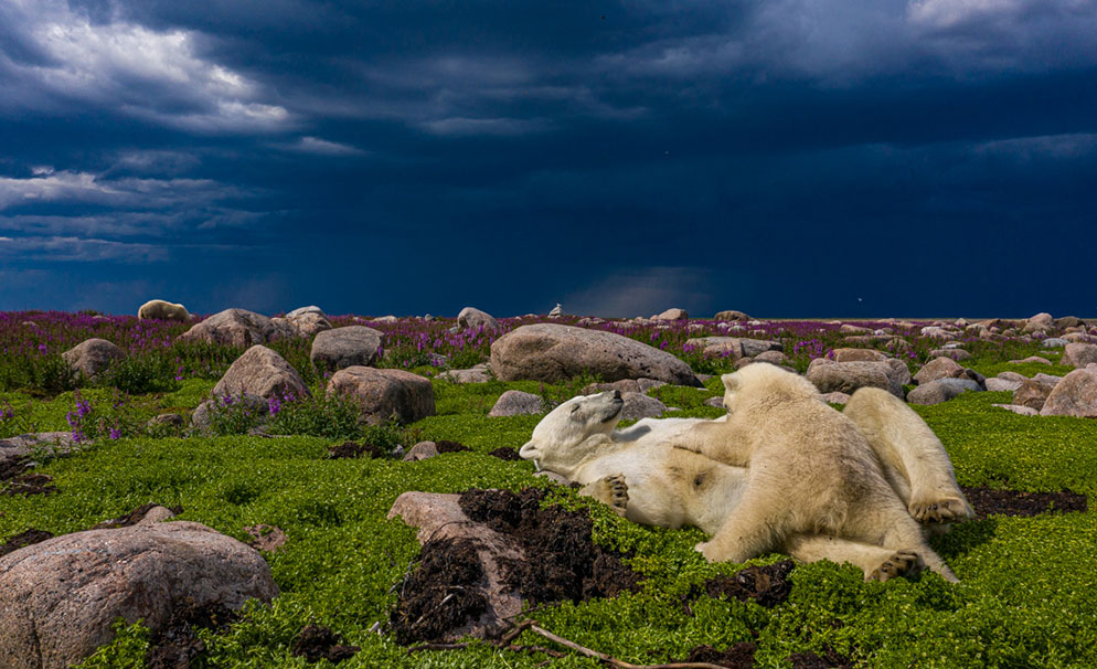 Martin Gregus from Nikon