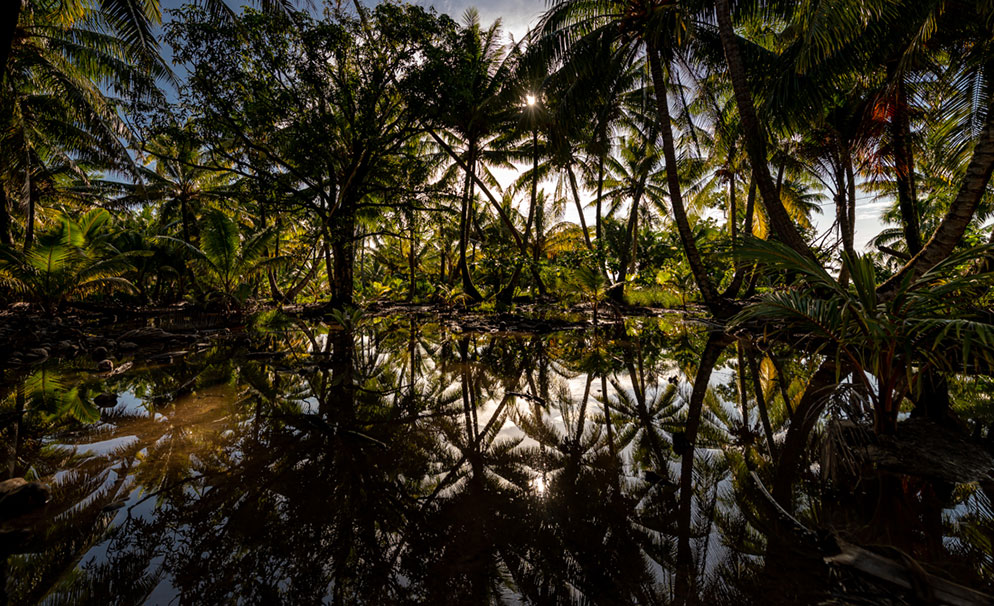 Martin Gregus from Nikon